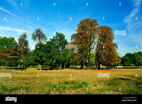 Paris France Landscape In Bois De Vincennes Autumn Scenic French