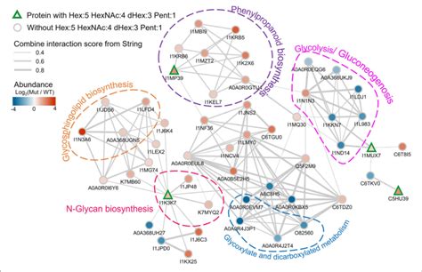 protein protein interaction network plot involving the detected