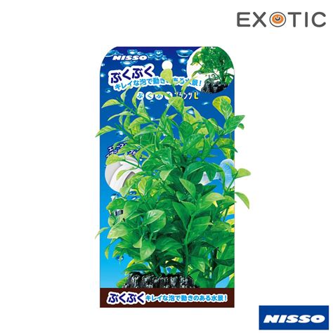 Nisso Flexible Bublle Plants L Rotala Hktvmall The Largest Hk