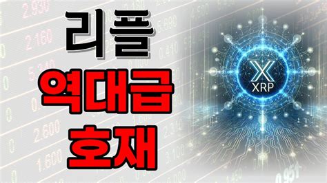리플 역대급 입니다 전 말했어요 Youtube