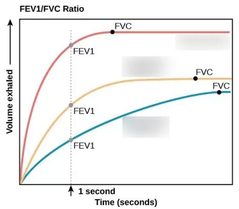 Spirometry Diagram Quizlet