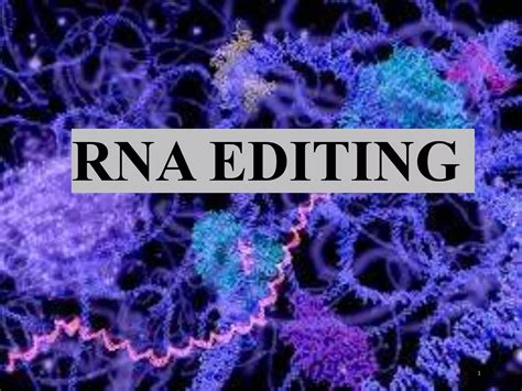 Rna Editing Pptx Programming Languages Computing