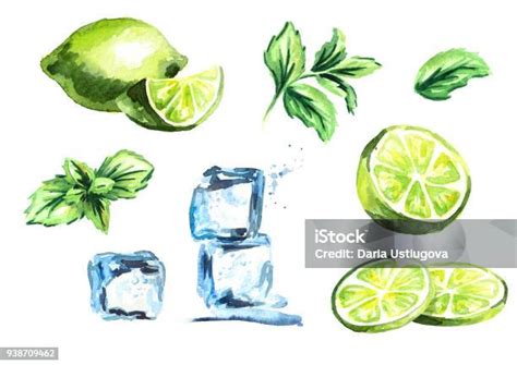 얼음 조각 라임 민트 잎 흰색 배경 세트 절연 수채화 손으로 그린 그림 수채화에 대한 스톡 벡터 아트 및 기타 이미지 수채화