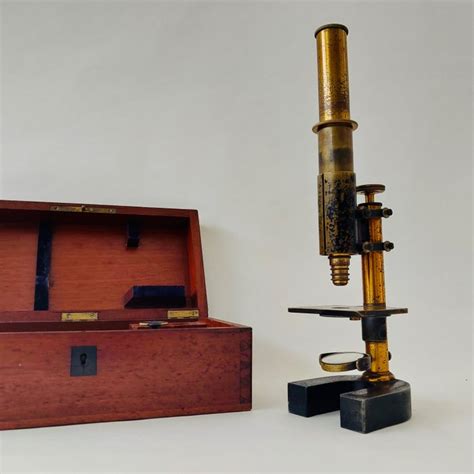 Monocular Compound Microscope 23363 1850 1900 Austria Reichert Auction Online Catawiki