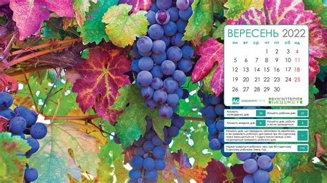 Шпалери на робочий стіл — вересень 2022