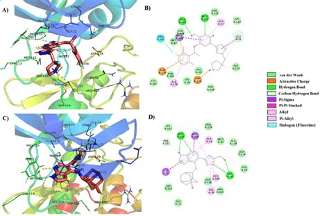 Selected Four Molecules Whose Docking Presented High Binding Affinity