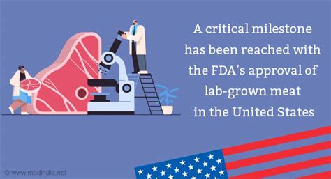 Lab Grown Meat Receives A Green Signal From The Fda