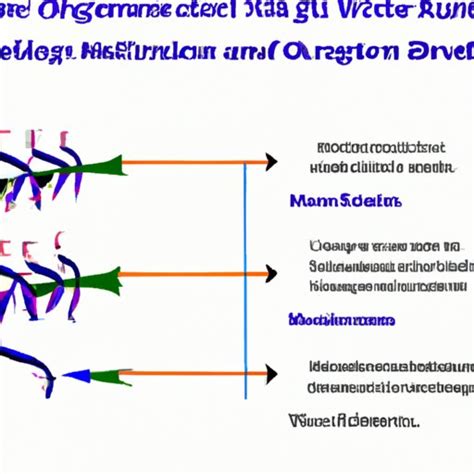 What Does Mutation Mean In Science Exploring Its Impact On Biological Evolution And Human