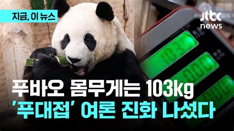 공주의 몸무게가 드러났다중국 판다 센터가 전한 푸바오 근황｜지금 이 뉴스 Youtube