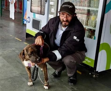 Conductor De Transmilenio Adoptó A Perrita Que Fue Abandonada En Un Bus