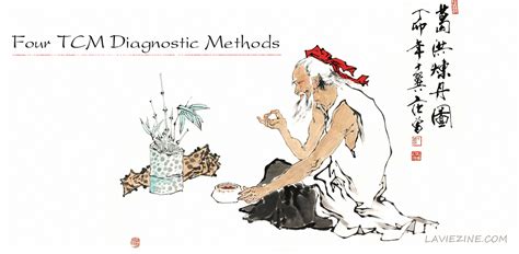 Four Tcm Diagnostic Methods La Vie Zine