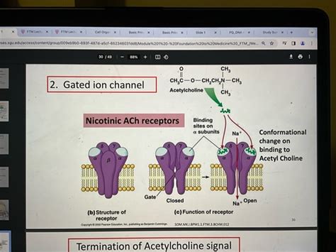 Signal Transduction Flashcards Quizlet