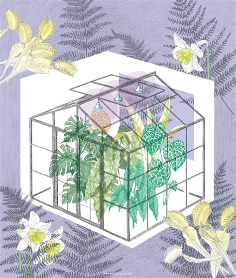 방 안의 온실