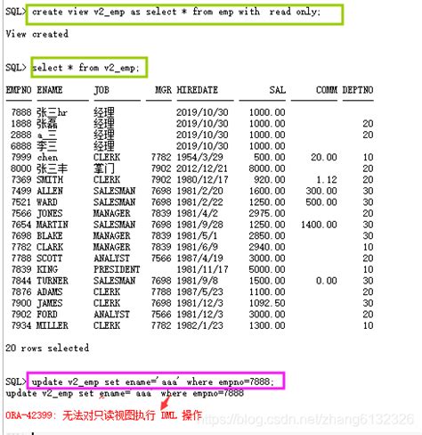 Oracle创建只读模式视图oracle View Readonly Csdn博客