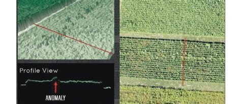 Tech Savvy Growers Already Replacing Satellite Imagery The Western Producer