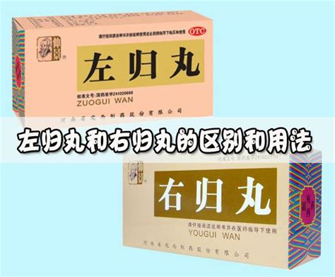 臨床補腎的常用藥左歸丸與右歸丸的七大區別 每日頭條