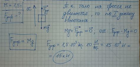 масса подвешенного к тросу груза равна M равно 1 5 тонн Определите силу упругости возникающую в