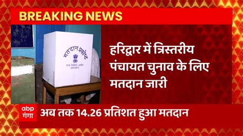 Gram Panchayat Chunav 2022 Latest News Photos And Videos On Gram