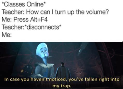 Online Classes 101 Rmemes
