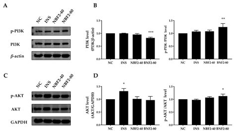 Nutrients Free Full Text In Vitro And In Vivo Evaluation Of