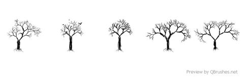 Tree Brushes Free Template FreeImages