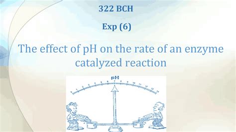 How Does Ph Affect Enzyme Controlled Reactions At Patrick Ruppert Blog