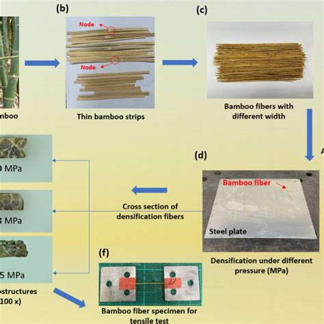 Bamboo Fiber Densification Process Including A Makino Bamboo B Bamboo Download Scientific