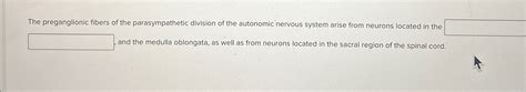 Solved The Preganglionic Fibers Of The Parasympathetic