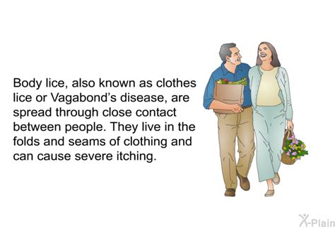 Body Lice