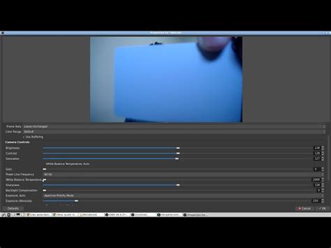 Best Webcam Settings Guide Tips And Tricks For A Pro Webcam