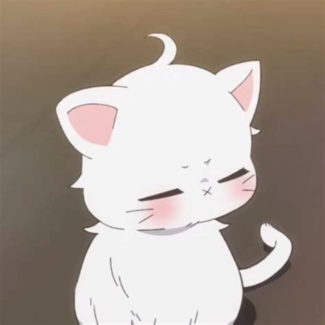Cute Anime Cat Pfp