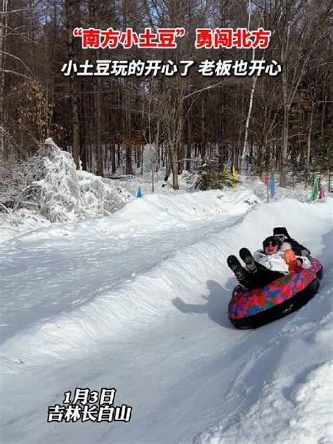 “南方小土豆”勇闯长白山，雪地里撒欢长白山新浪新闻