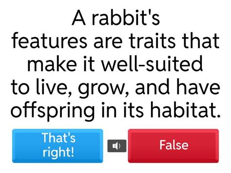 Rabbit Adaptations Quiz