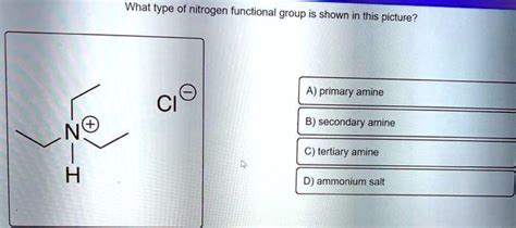 Solved What Type Of Nitrogen Functional Group Is Shown In This Picture Primary Amine Cl