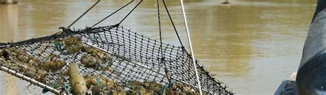 Yabby Nets Hooper Imports