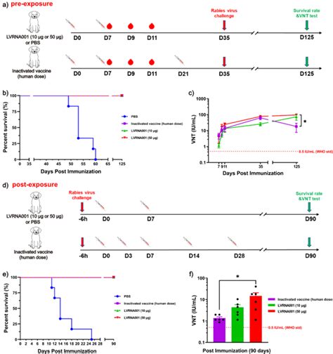 科研进展 创新mrna疫苗在动物模型中展现狂犬病全面保护力腾讯新闻