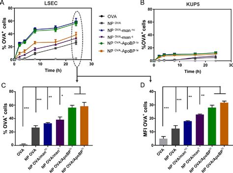Figure 2 From Use Of Polymeric Nanoparticle Platform Targeting The Liver To Induce Treg Mediated