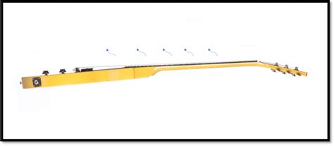 How Do Guitar Strings Produce Their Sound Fret Success Guitar Tuition