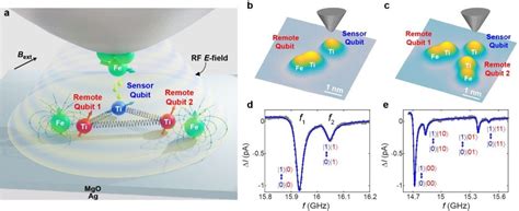 New Concept Quantum Computer With ‘electron Spin Qubits Developed Cfm Materials Physics Center