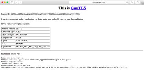 Ken Felix Security Blog Cn And Subject Alternative Names In Ssl Tls Certificates