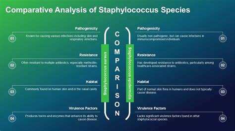 Dynamic Staphylococcus Diagram Ppt Template For Effective Learning Ppt H