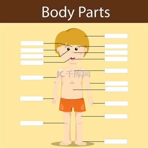 写身体部位的插画素材图片免费下载 千库网