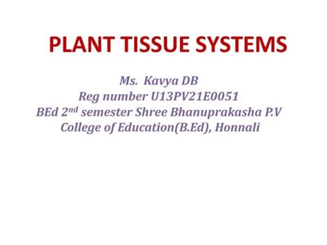 Xylem Complex Permanent Tissue In Plants Pptx