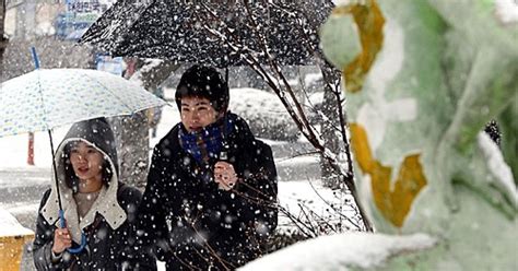 조각상 덮은 눈