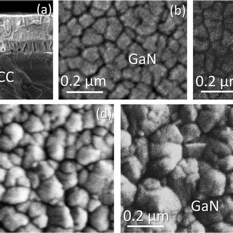 Sem Cross Section Micrograph For Sample Ct4 A And Planar View