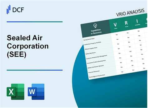 Sealed Air Corporation See Vrio Analysis
