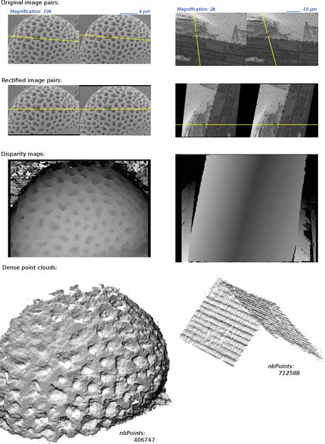 Figure 1 From Stereo Image Rectification For Dense 3d Reconstruction In Scanning Electron