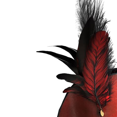 3d Pirate Hat 3 Game Asset 3 Material Set Turbosquid 1916213