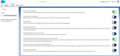 7 Salesforce User Management Best Practices Salesforce Ben