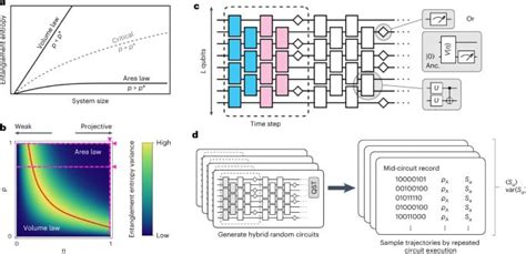 Measurement Induced Entanglement Phase Transition On A Superconducting Quantum Processor With